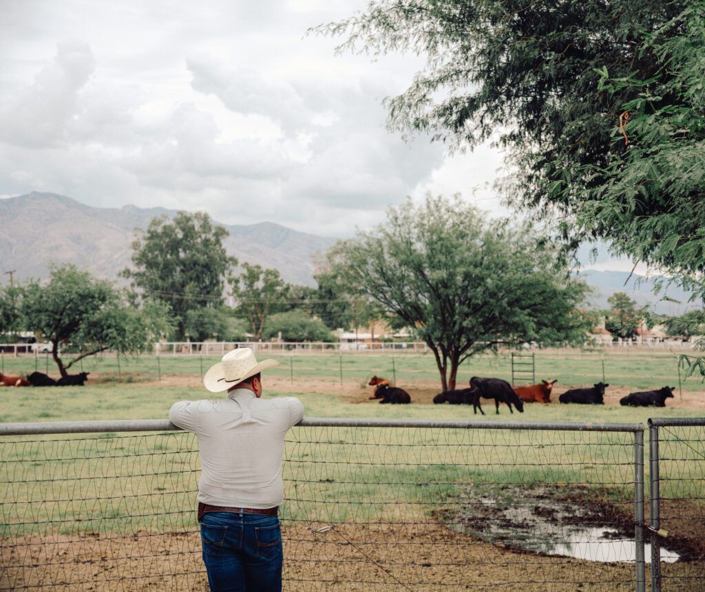 Tucson’s Lomo Premium Meats Showcases Arizona Ranch Beef - Tucson Foodie