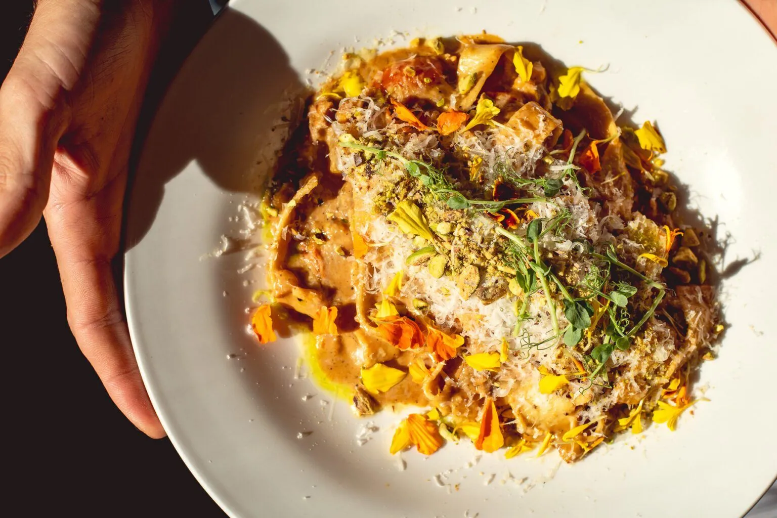 Food Vendors & Culinary Events at Tucson Festival of Books 2026 ...