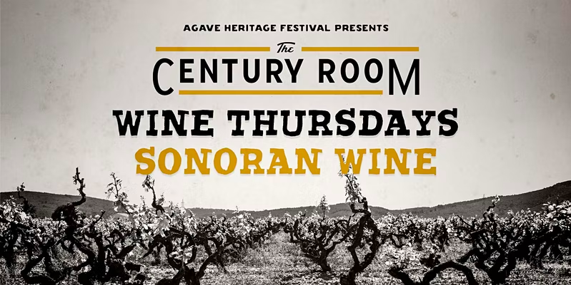 Guide to 15 Blow-Your-Mind Nachos in Tucson