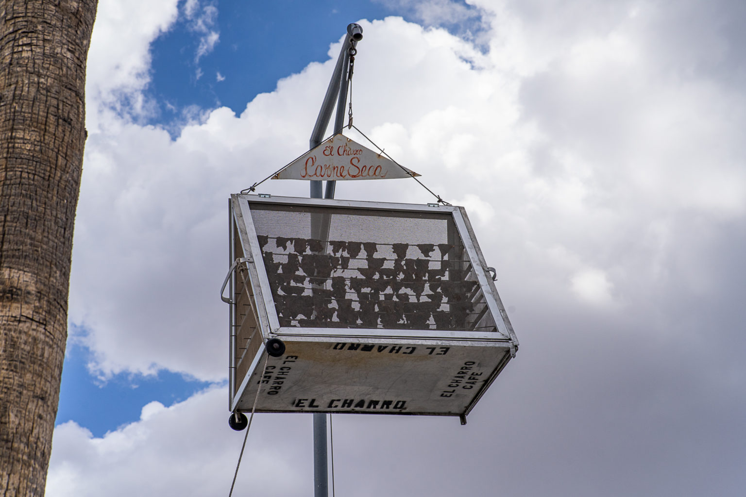 100 years later, El Charro Café shows no signs of slowing down