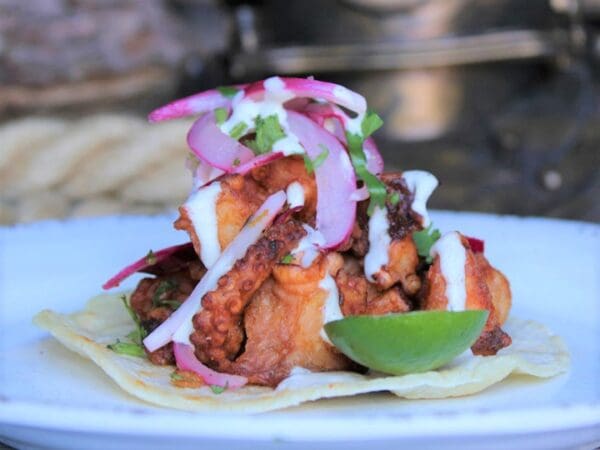 The Best Fish Tacos in Tucson - Tucson Foodie
