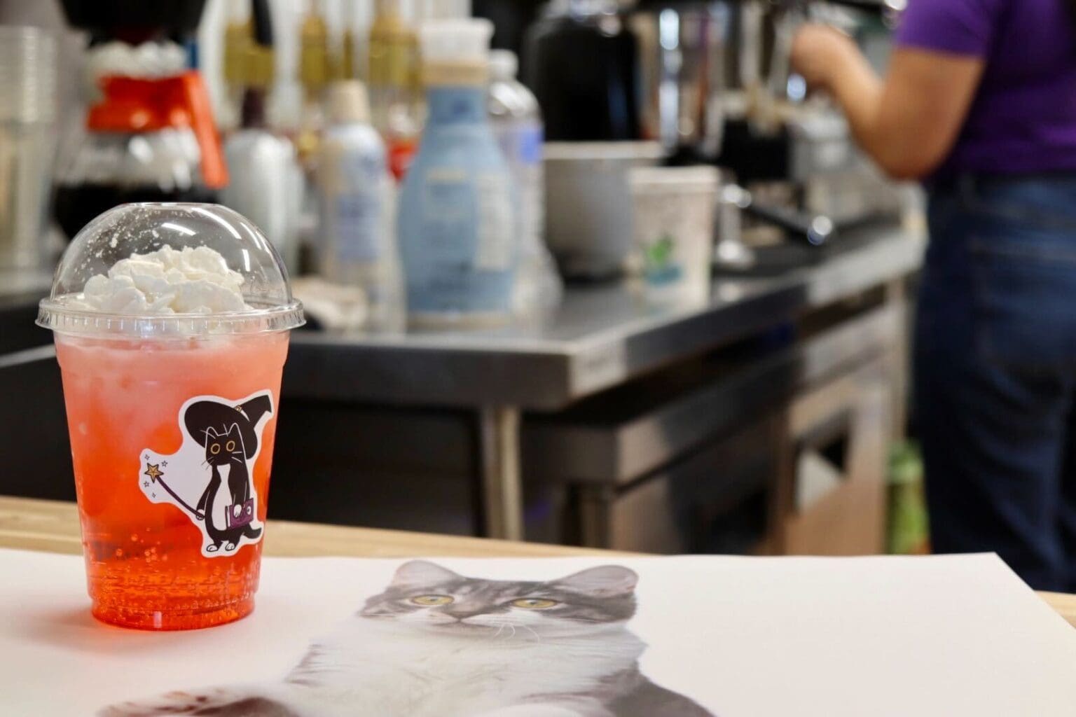 El Jefe Cat Café to Host a Totally Paw-Some Grand Opening Party