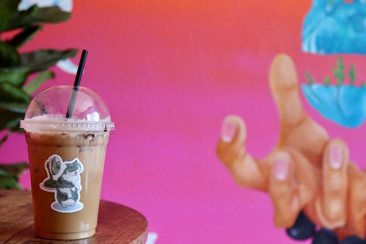 El Jefe Cat Café to Host a Totally Paw-Some Grand Opening Party