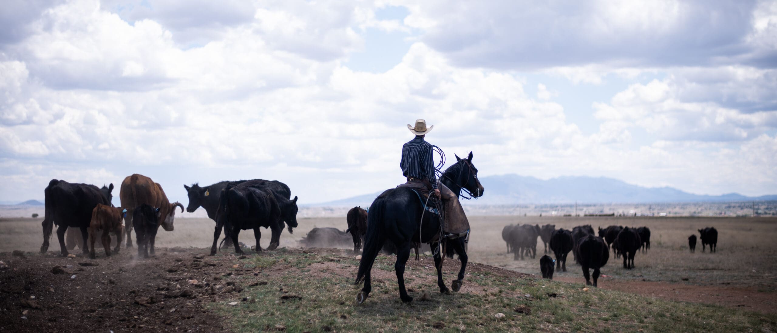 Experiencing the Flavorful Tradition of Sonoita's Vera Earl Ranch