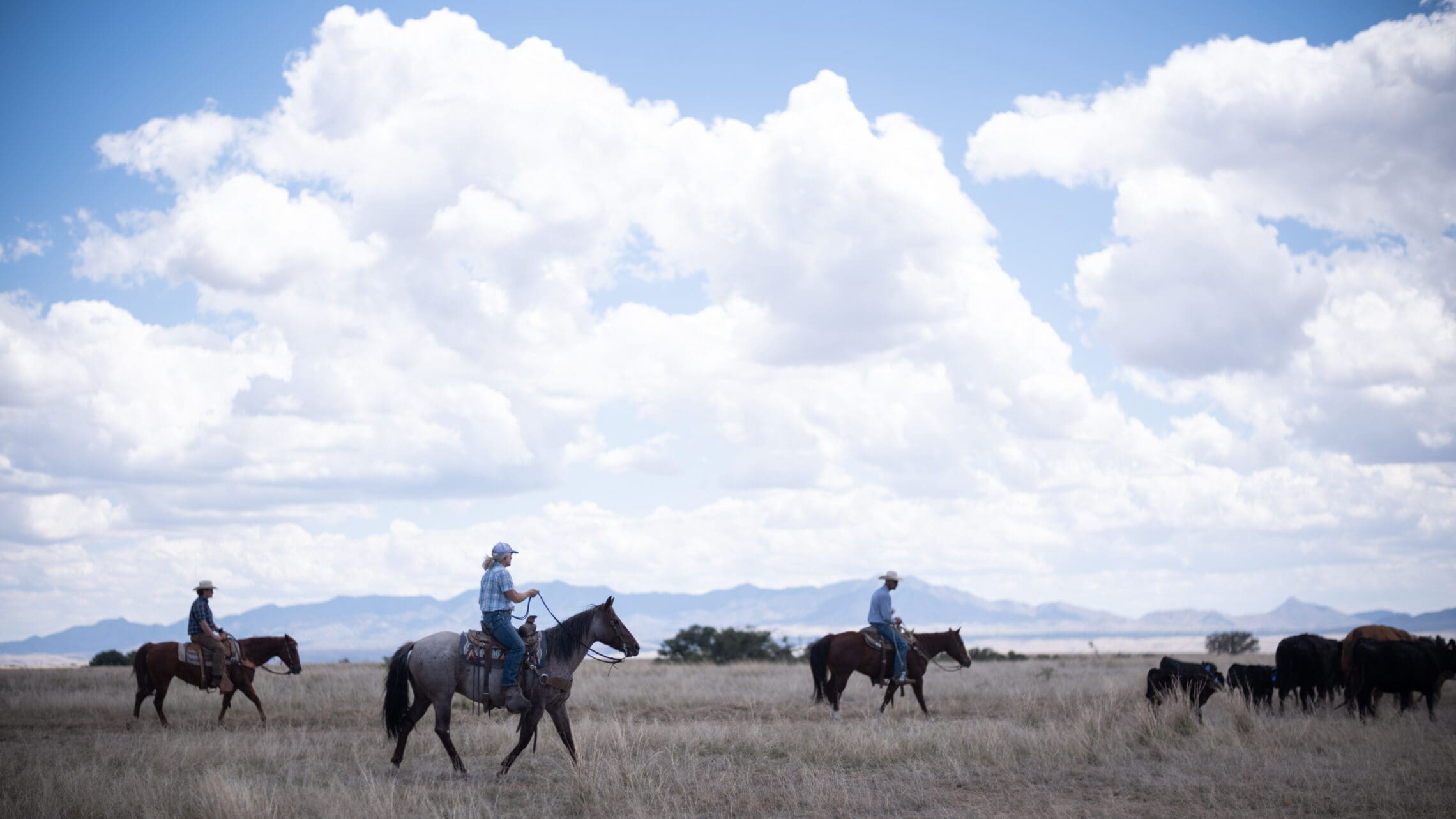Experiencing the Flavorful Tradition of Sonoita's Vera Earl Ranch