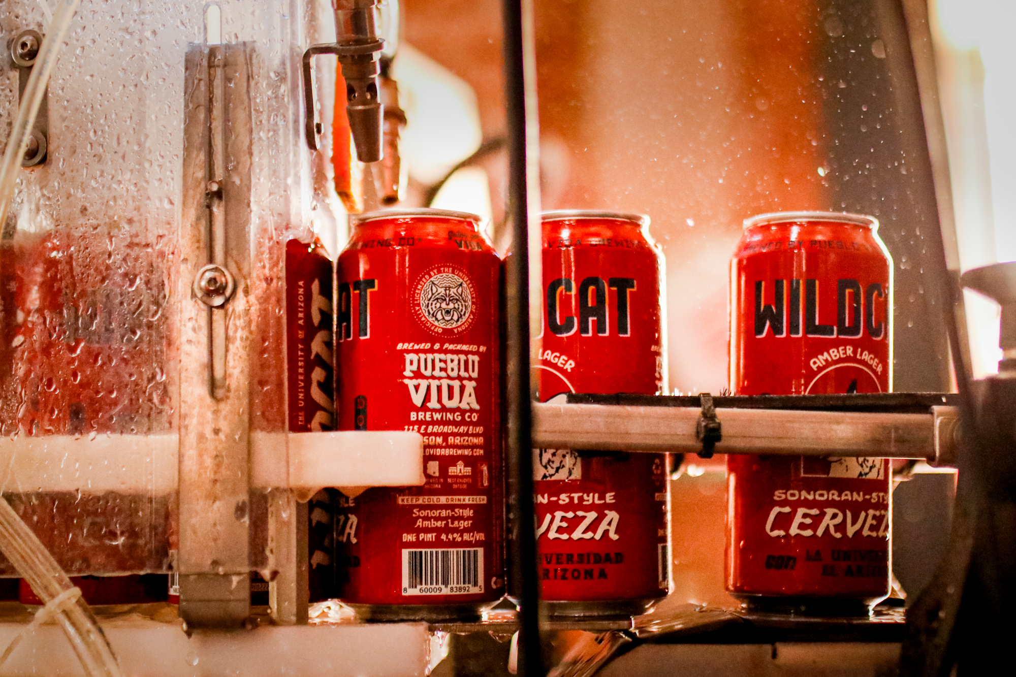 University of Arizona & Pueblo Vida Unveil the 'Wildcat Cerveza'