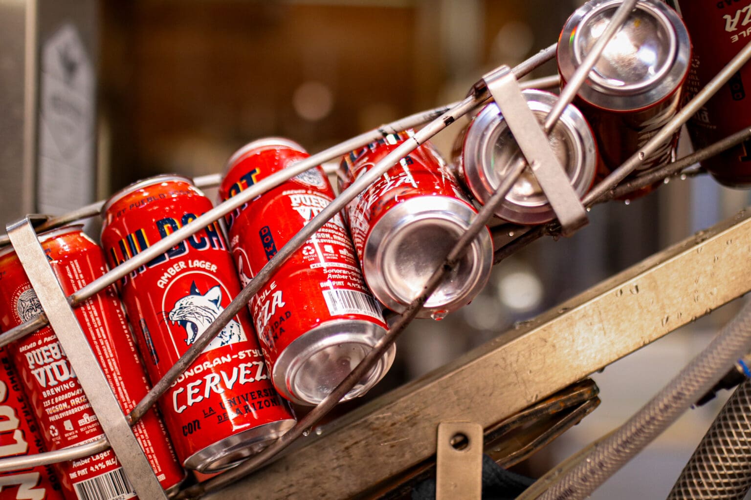 University of Arizona & Pueblo Vida Unveil the 'Wildcat Cerveza'
