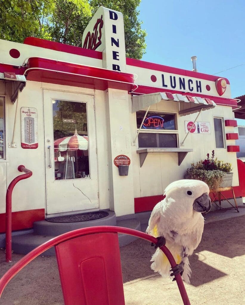 Foodie 15: Best Restaurants in Bisbee, Arizona