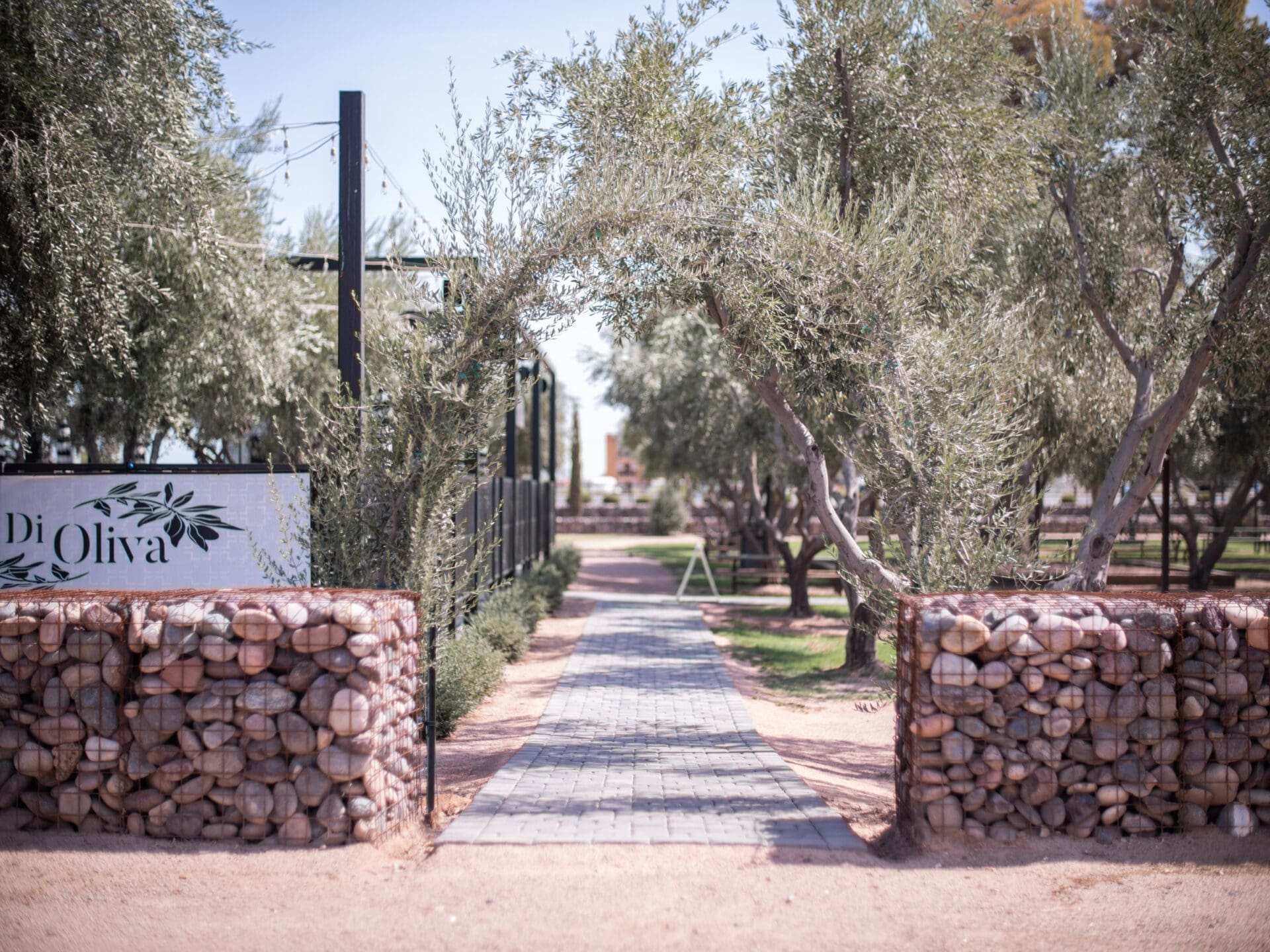 Memorial Day 2024: Food, Music, Wine Tours & More in Tucson