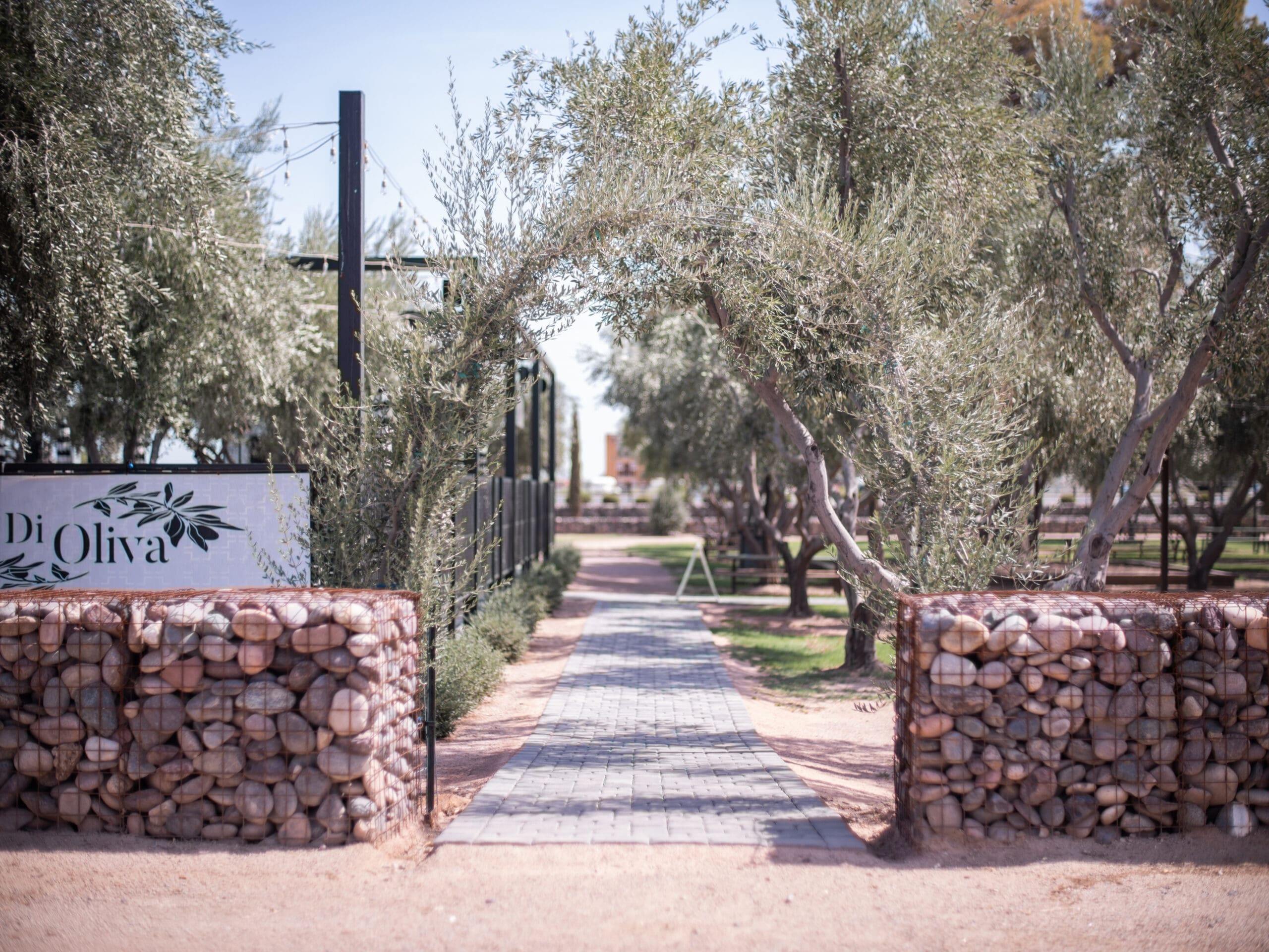 Queen Creek Olive Mill Celebrates 20 Years in Arizona