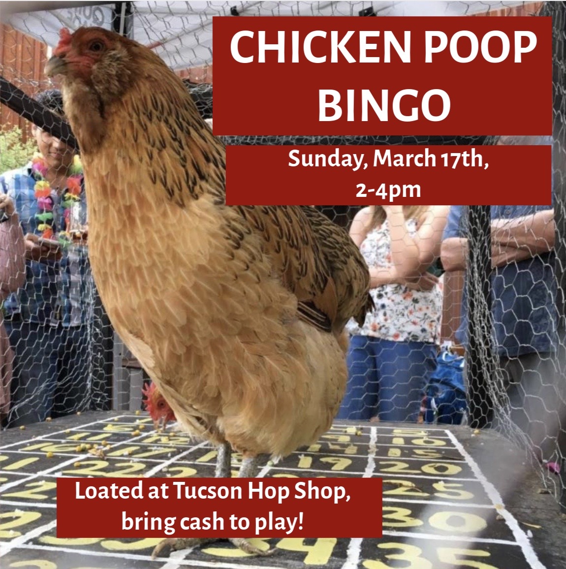 What’s happening at Tucson Village Farm? March 2024 Edition