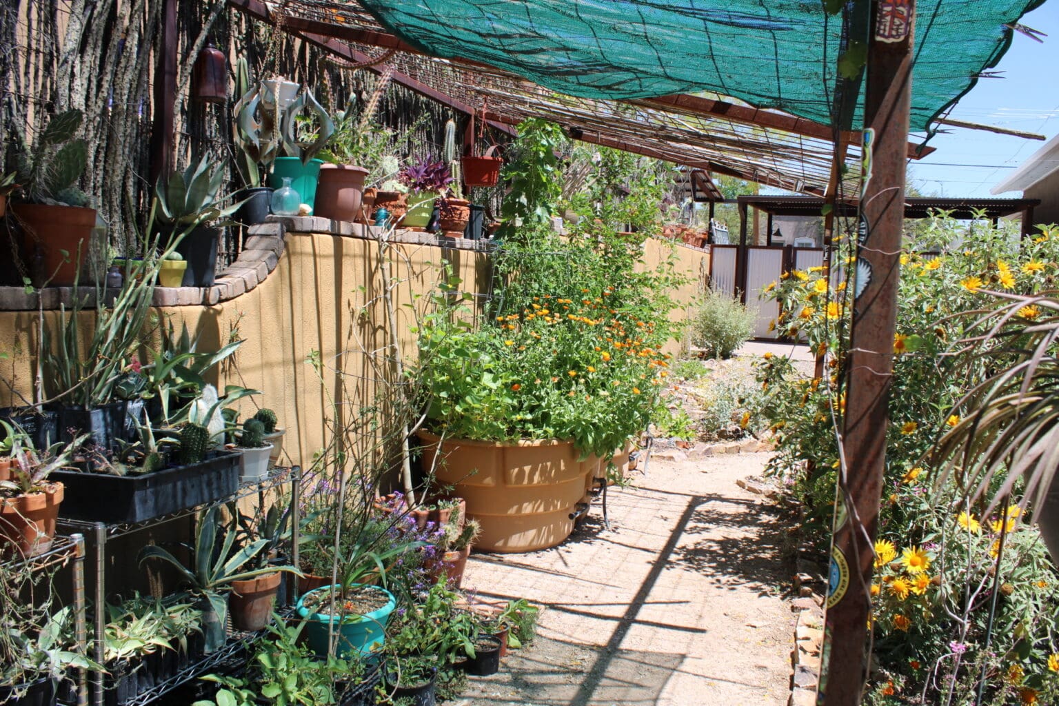 Connecting Art, Food, Land & More With Artist Logan Phillips