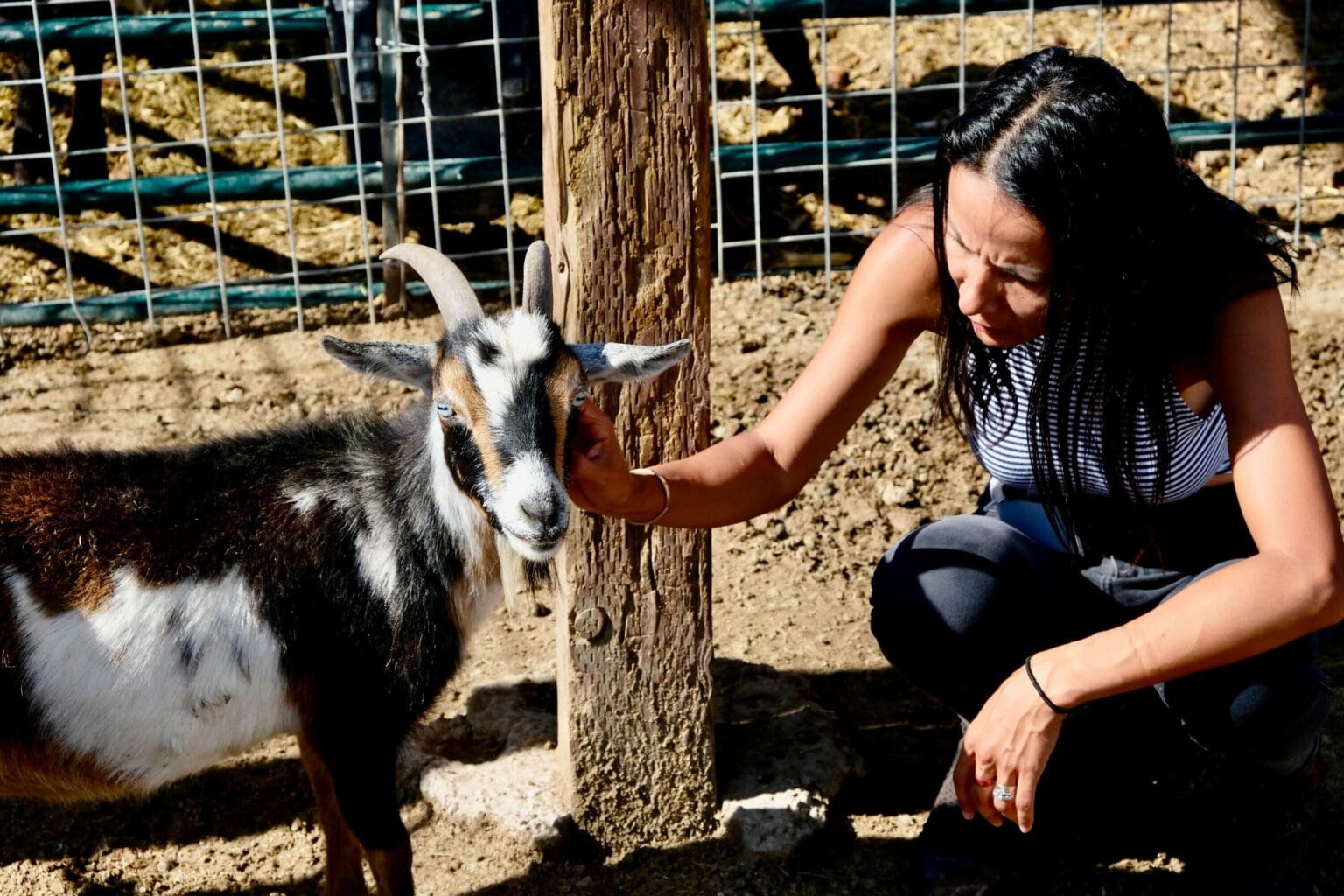 Domes in the Desert: The Perfect Summer Escape For Tucson Foodies