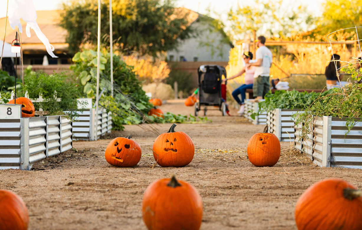 What to Eat & Drink at the Marana Fall Festival (October 12) What to Eat & Drink at the Marana Fall Festival (October 12)