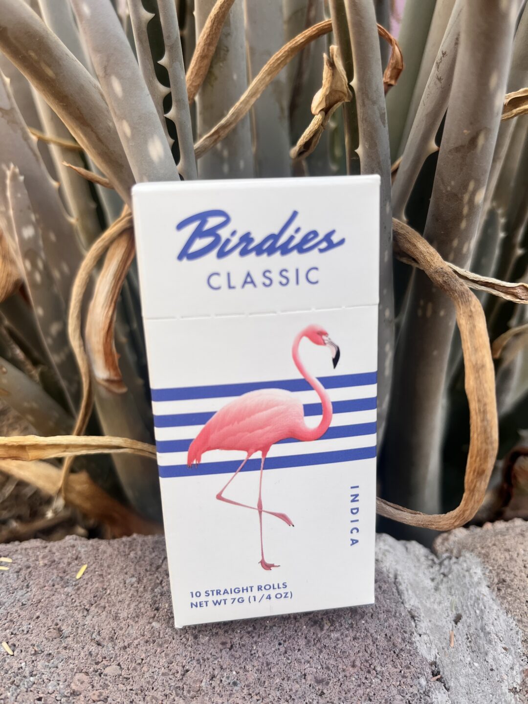 Tucson Doobie Team's Year in Review: Top Cannabis Picks for 2024