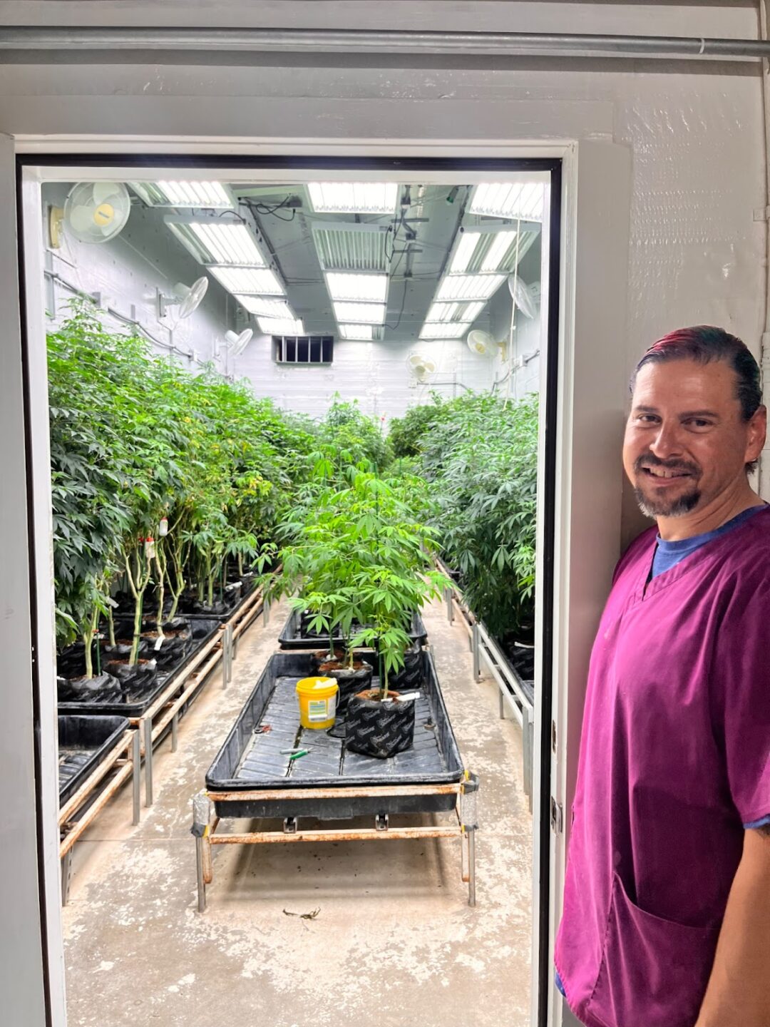 Jeeter’s Quad Infusion: Four Times the Fun