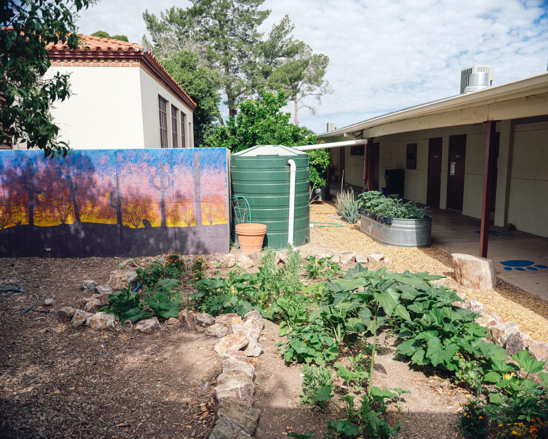 UA’s School Garden Workshop Earns National Recognition & Growth