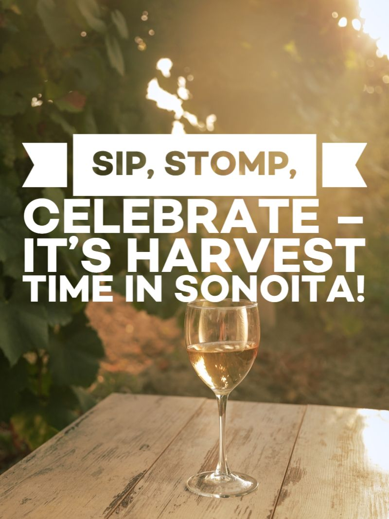 Harvest Fest 2025 at AZ Hops and Vines - Tucson Foodie